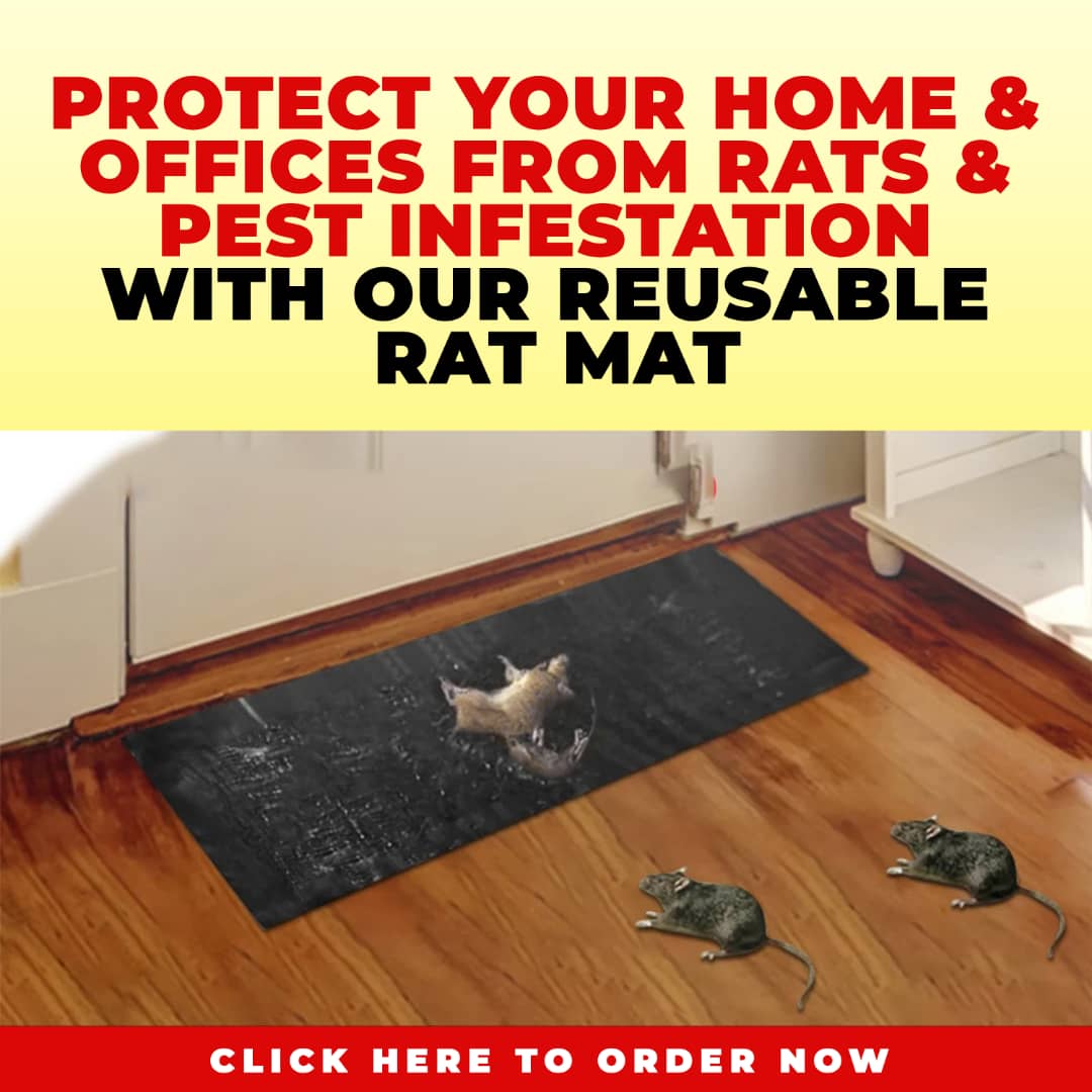 Rat gum – thank you – Convy Digital